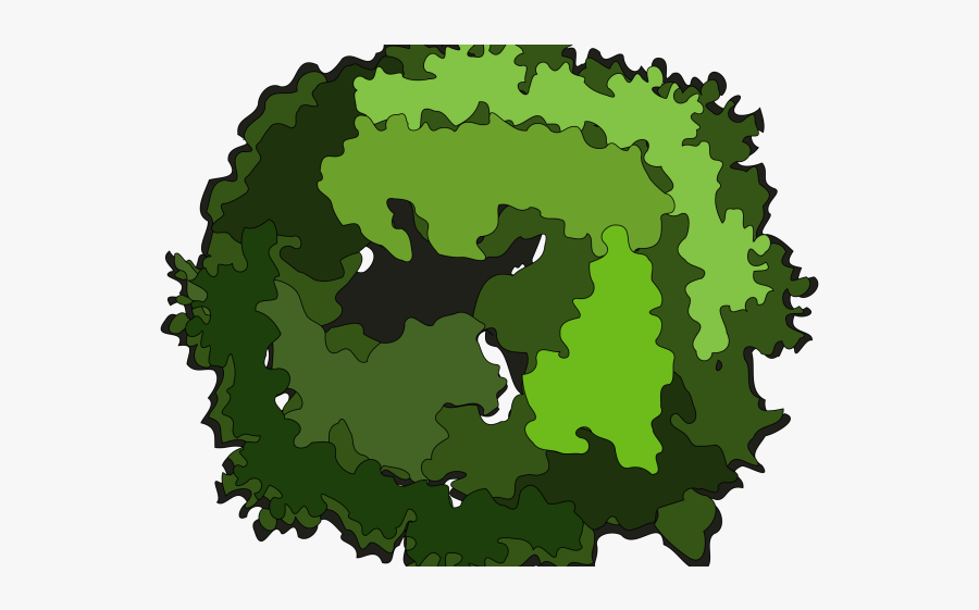 Transparent Birds Eye View Of Tree , Free Transparent Clipart - ClipartKey