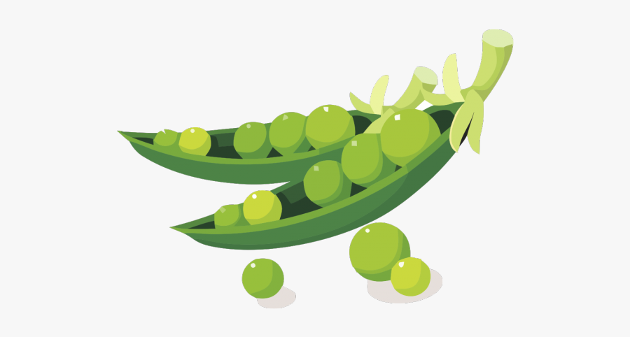 Snap Peas Clip Art , Free Transparent Clipart - ClipartKey