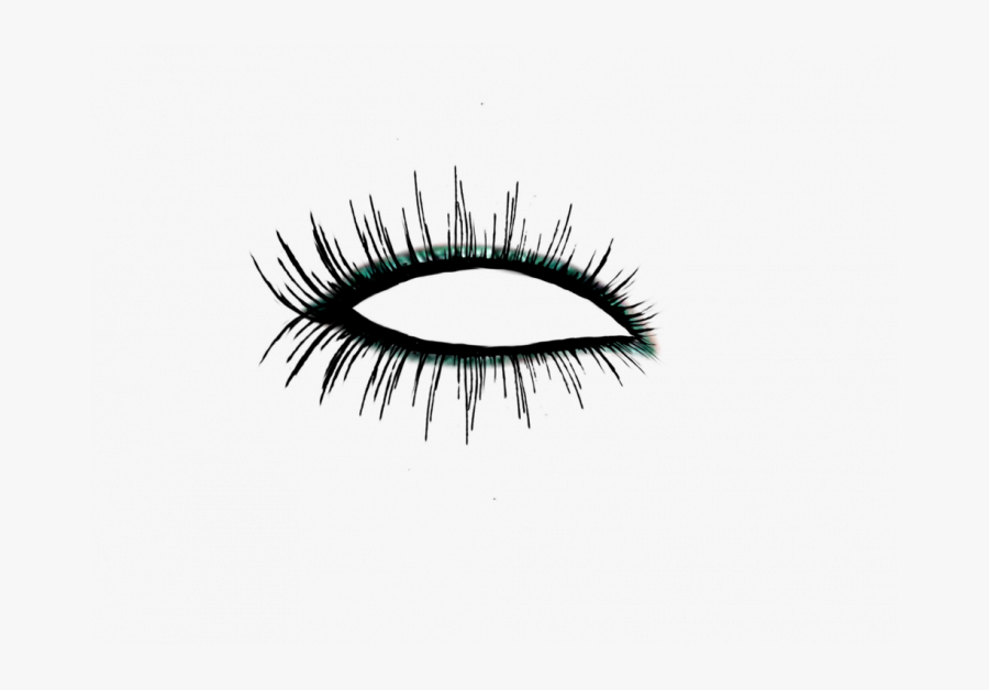 Eye Outline With Eyelashes , Free Transparent Clipart - ClipartKey