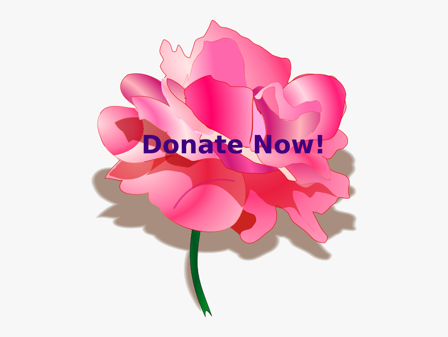 Transparent Donation Button Png , Free Transparent Clipart - ClipartKey