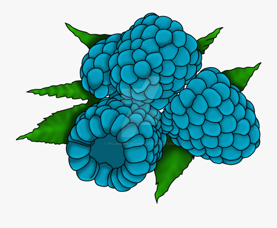 Clip Art Berry Drawing Huge - Blue Raspberry Clipart , Free Transparent ...