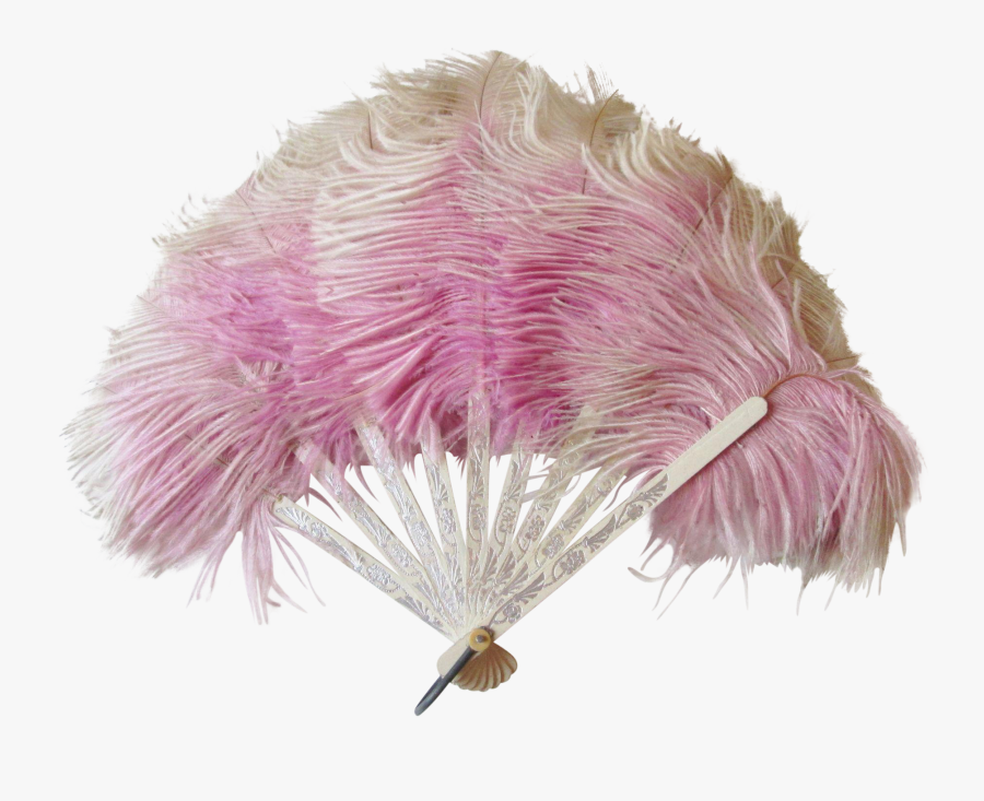 Transparent Feather Vector Png - Feather Hand Fan Png , Free ...