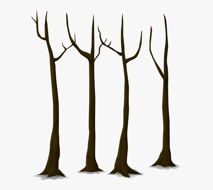Transparent Fall Trees Clipart - Tree Trunk Vector Png , Free ...