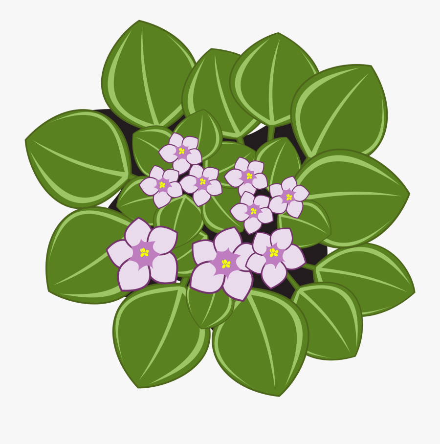 Transparent Africa Vector Png - African Violets , Free Transparent ...