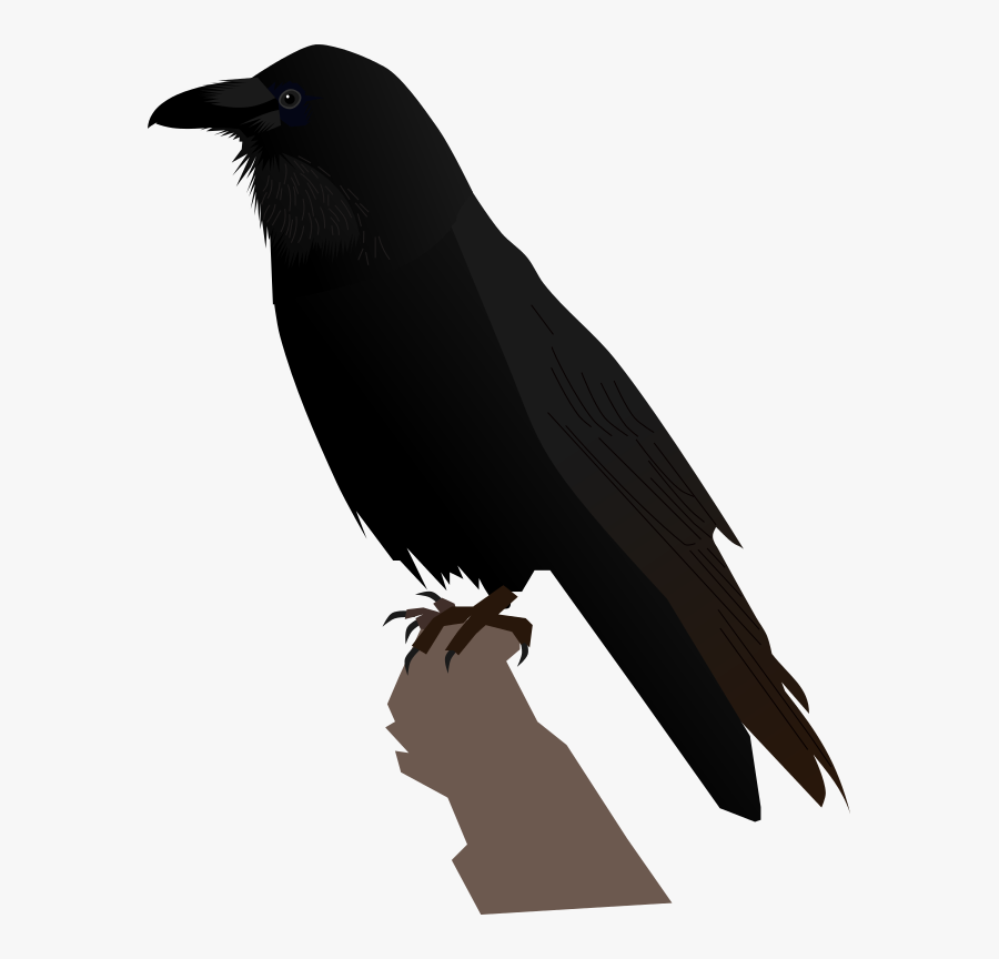 Common Raven Transparent Png Png Icon - Portable Network Graphics ...