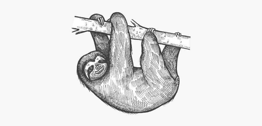 Sloth Png - Sloth Dabbing Png , Free Transparent Clipart - ClipartKey