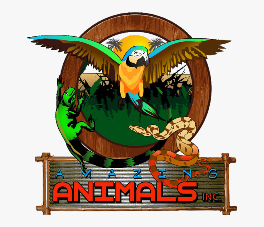 Amazing Animals Inc , Free Transparent Clipart - ClipartKey