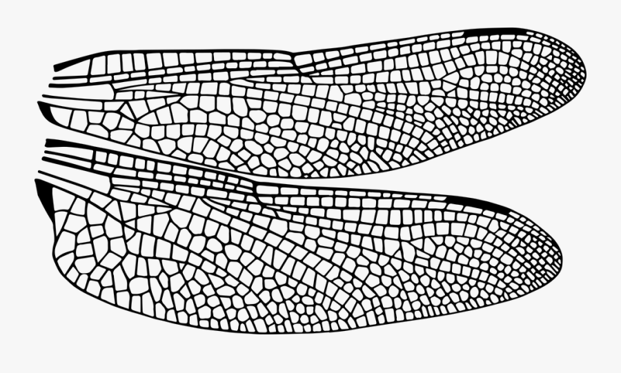 Dragonfly, Wing, Wings, Insect, Bug, Wildlife, Animal - Printable ...