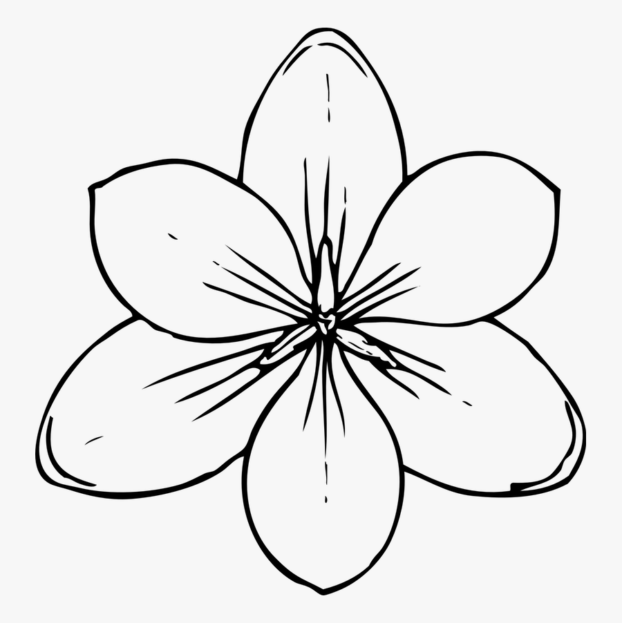 Flower Tattoo Sketches And Drawings Images Galleries - Flower Top View ...