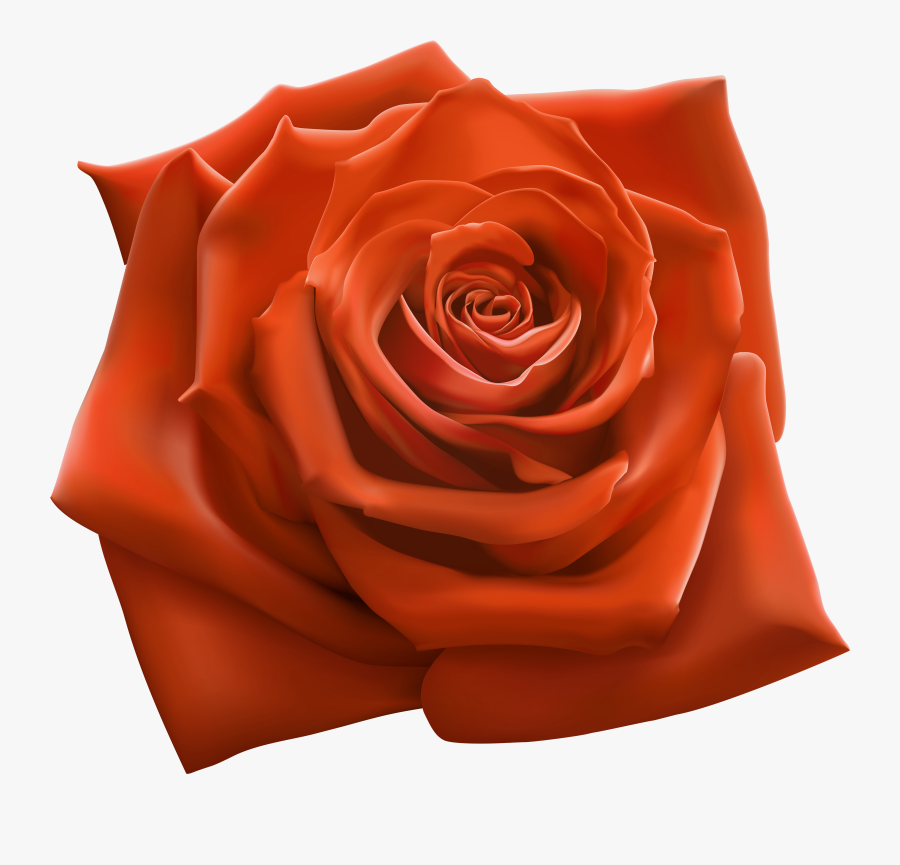 Transparent Transparent Rose Png , Free Transparent Clipart - ClipartKey