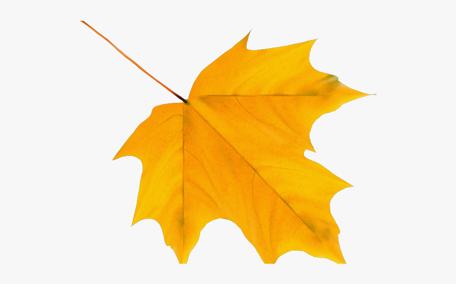 Yellow Fall Leaf Clipart , Free Transparent Clipart - ClipartKey