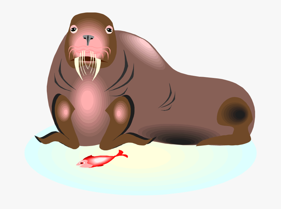 Walrus Animation , Free Transparent Clipart - ClipartKey