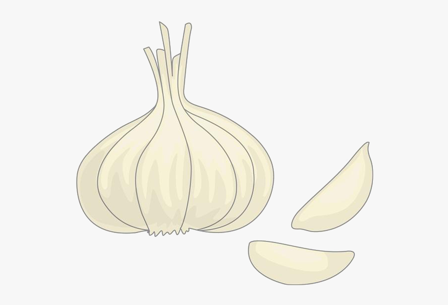 Clip Art Garlic Cartoons - Garlic Transparent Cartoon , Free ...