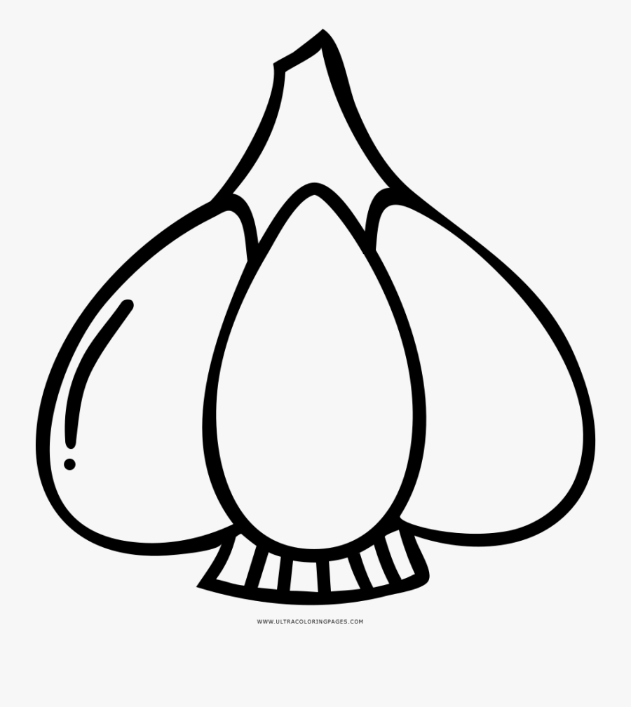 Garlic Coloring Page - Line Art , Free Transparent Clipart - ClipartKey