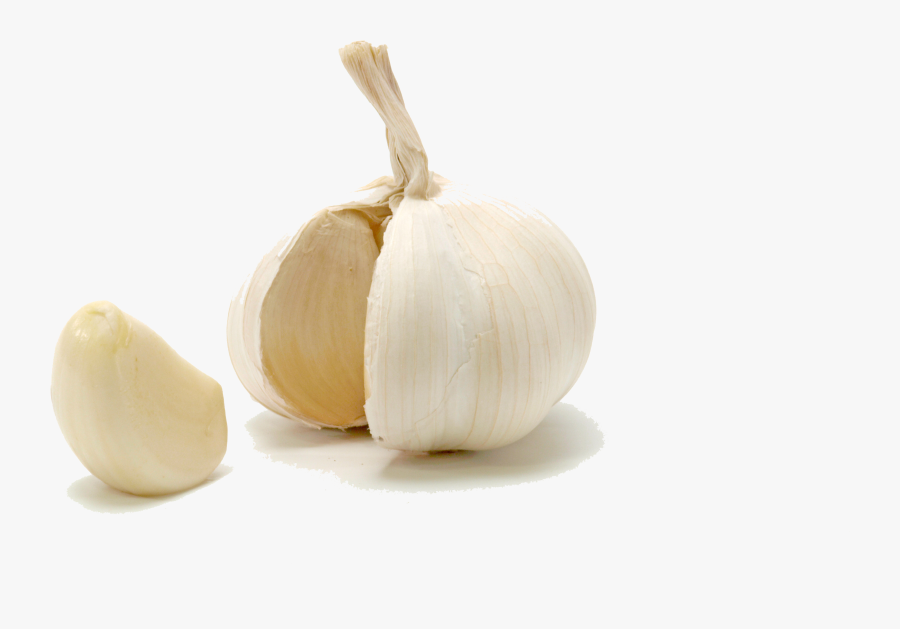 Garlic Png Transparent Images - Garlic Clove No Background , Free ...