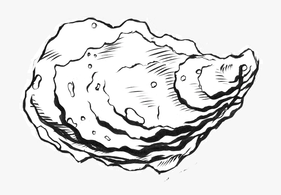Oyster Drawing At Getdrawings - Transparent Oyster Shell Black And ...