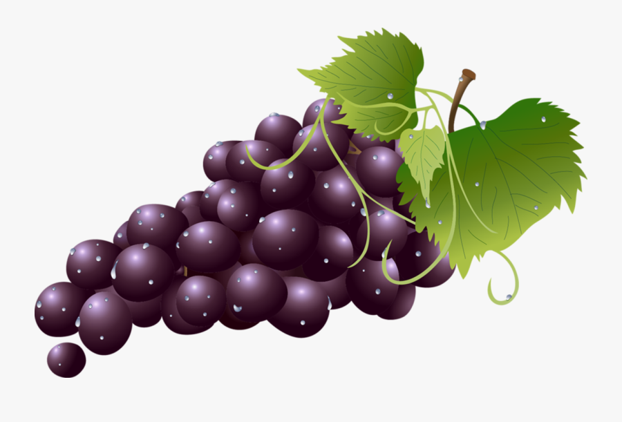 Grape Clipart Transparent Background - Transparent Background Grapes ...