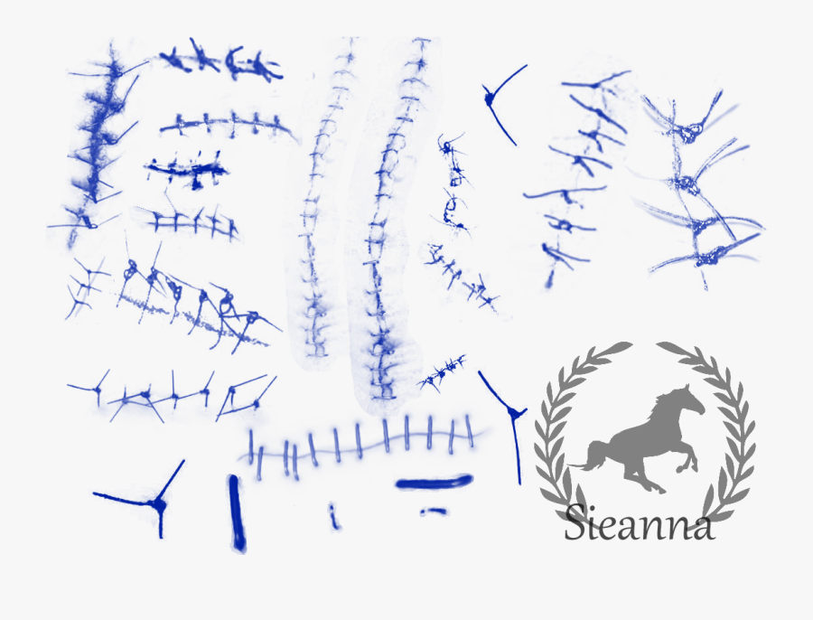 Stitches Clipart Group - Skin Stitches Png , Free Transparent Clipart ...