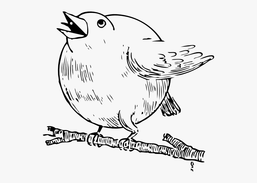 Round Robin Bird Fat , Free Transparent Clipart - ClipartKey