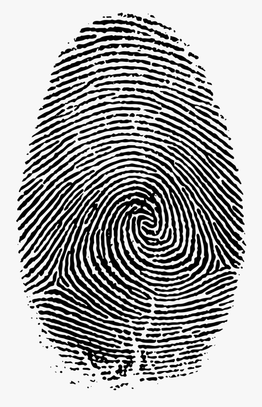 Transparent Background Fingerprint Png , Free Transparent Clipart ...