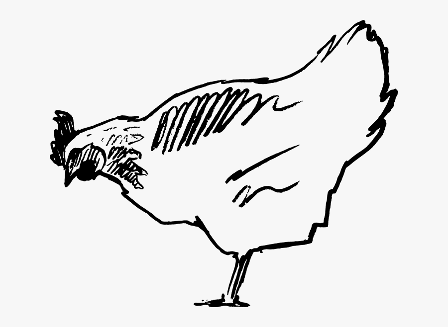 Pecking Chicken , Free Transparent Clipart - ClipartKey