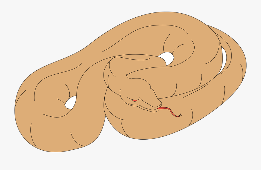 Transparent Snake Clip Art - Snake Sleep Cartoon , Free Transparent ...