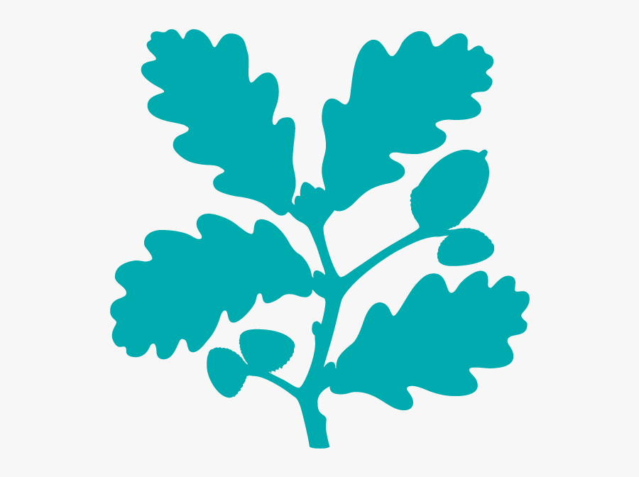 National Trust Logo Png , Free Transparent Clipart - ClipartKey