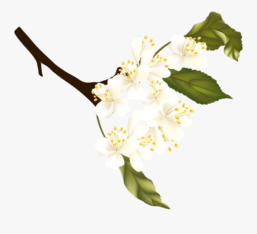 Branch Clipart Spring - Clip Art , Free Transparent Clipart - ClipartKey