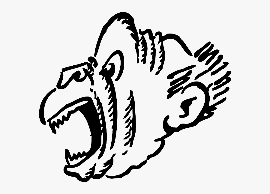 Monkey, Angry, Profile, Face, Head, Screaming, Ape - Screaming Monkey ...