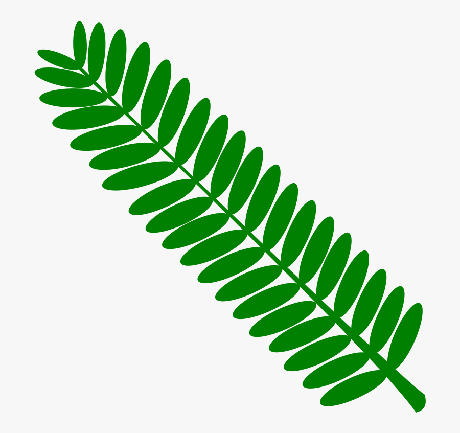 All Photo Png Clipart - Touch Me Not Leaf , Free Transparent Clipart ...