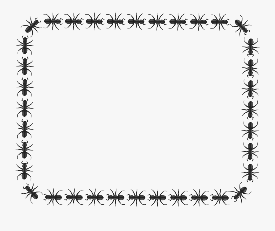 Rectangle Border Clipart - Ant Border , Free Transparent Clipart - ClipartKey