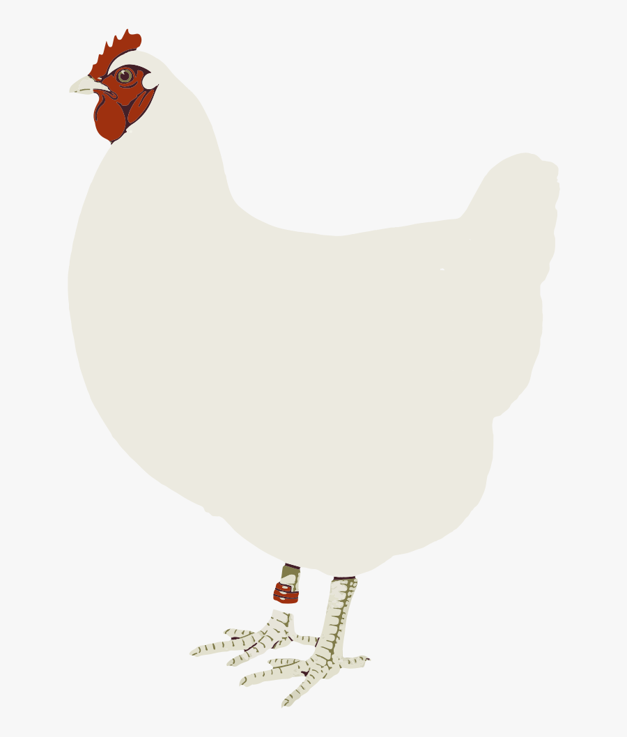 Hen Chicken Clip Art - Hen White Clipart Hd , Free Transparent Clipart ...