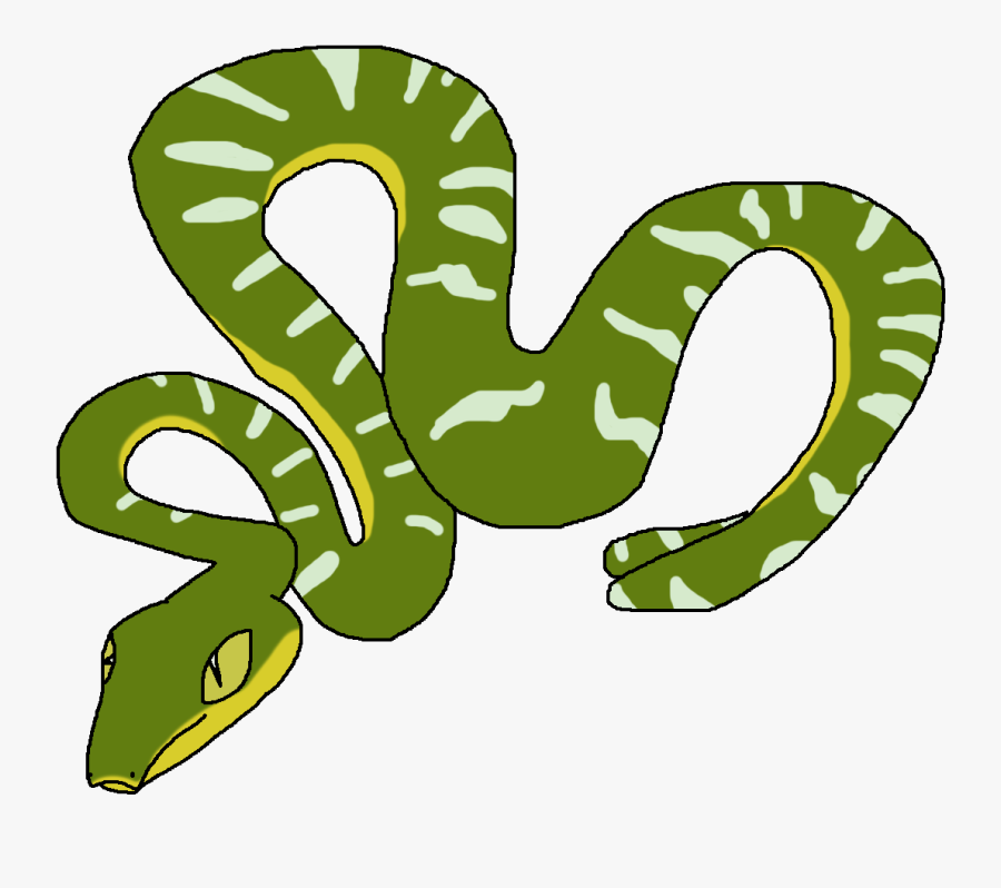 Emerald Tree Boa - Emerald Tree Boa Cartoon , Free Transparent Clipart ...