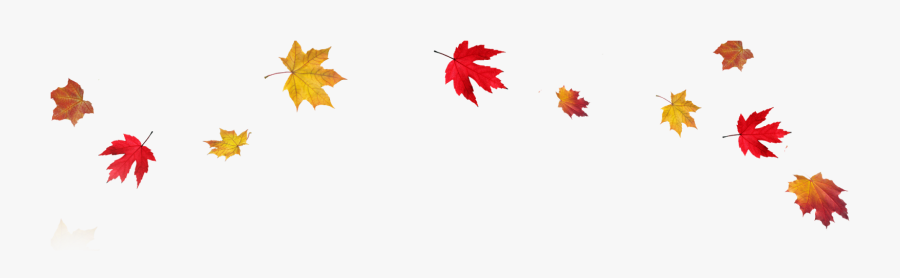 Autumn Leaf Color Clip Art - Transparent Fall Clip Art , Free ...