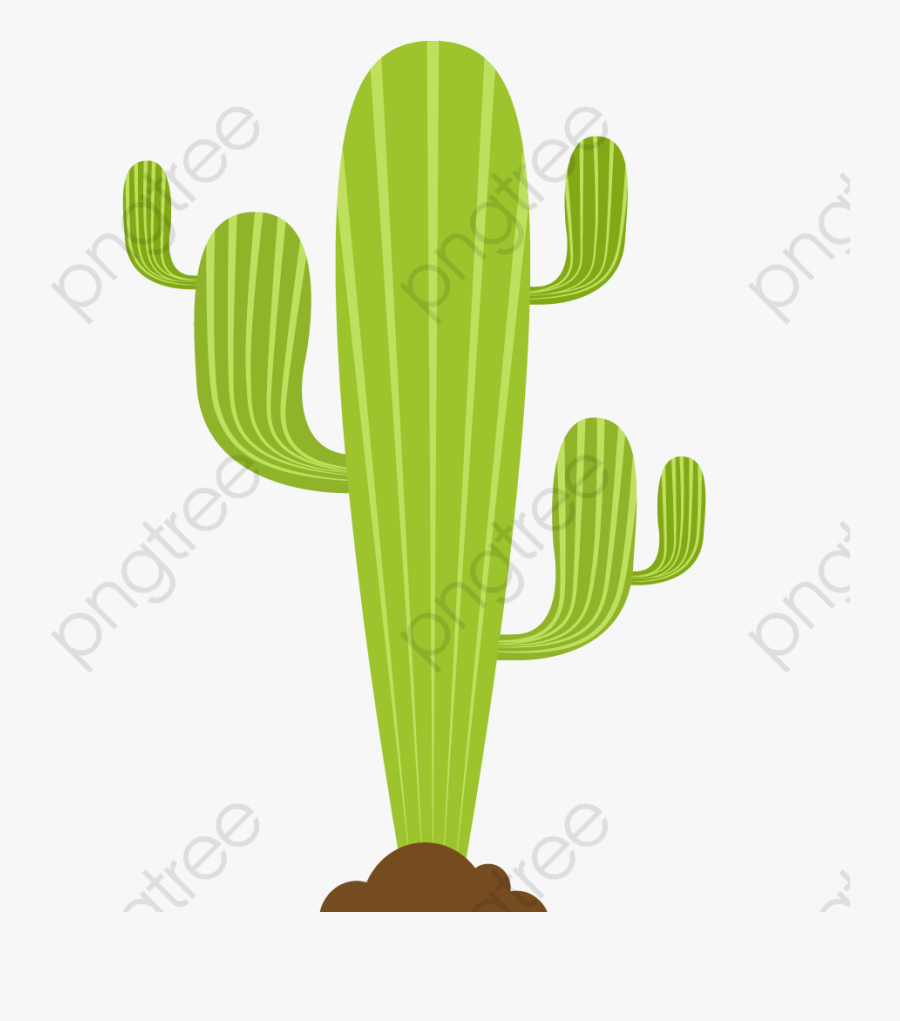 Transparent Succulent Clipart - Cartoon , Free Transparent Clipart ...