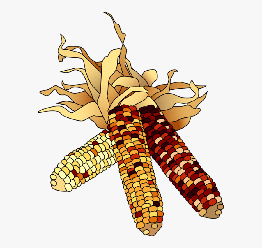 Fall Corn Clipart , Free Transparent Clipart - ClipartKey
