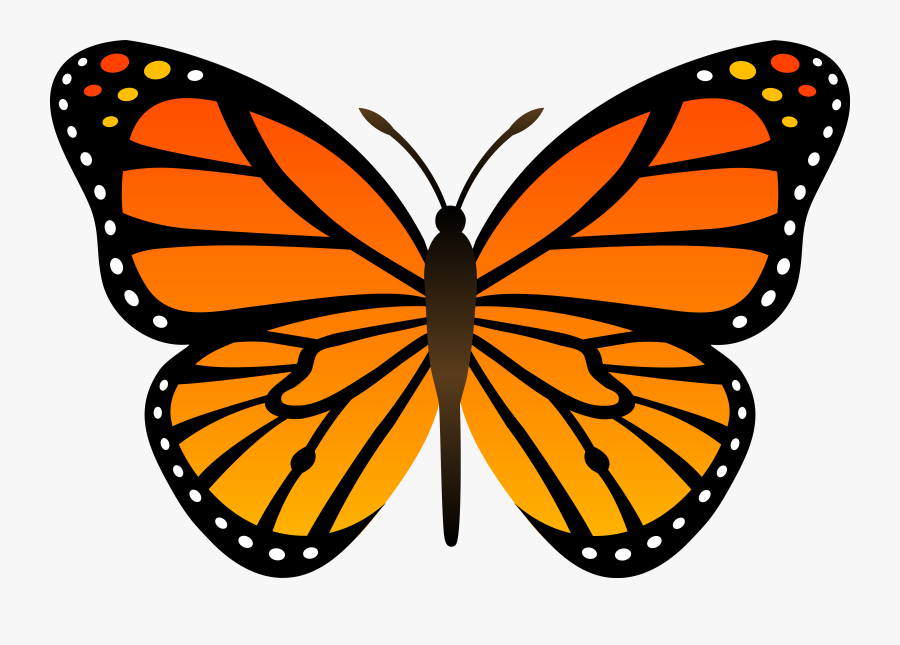 Butterfly Clip Art Animals Cleanclipart - Painted Lady Butterfly ...