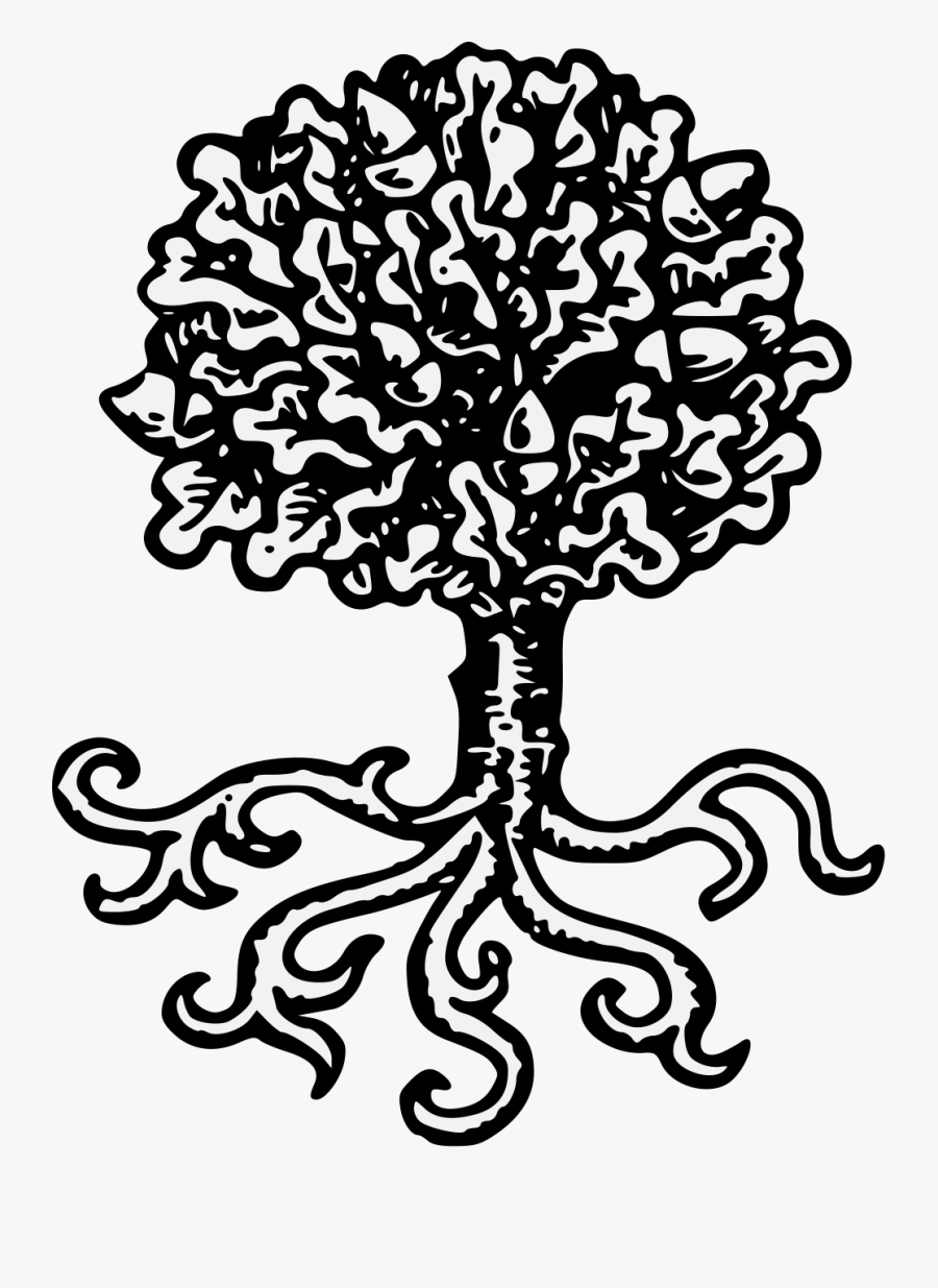 Oak Tree With Roots Heraldry , Png Download - House Rowan , Free ...
