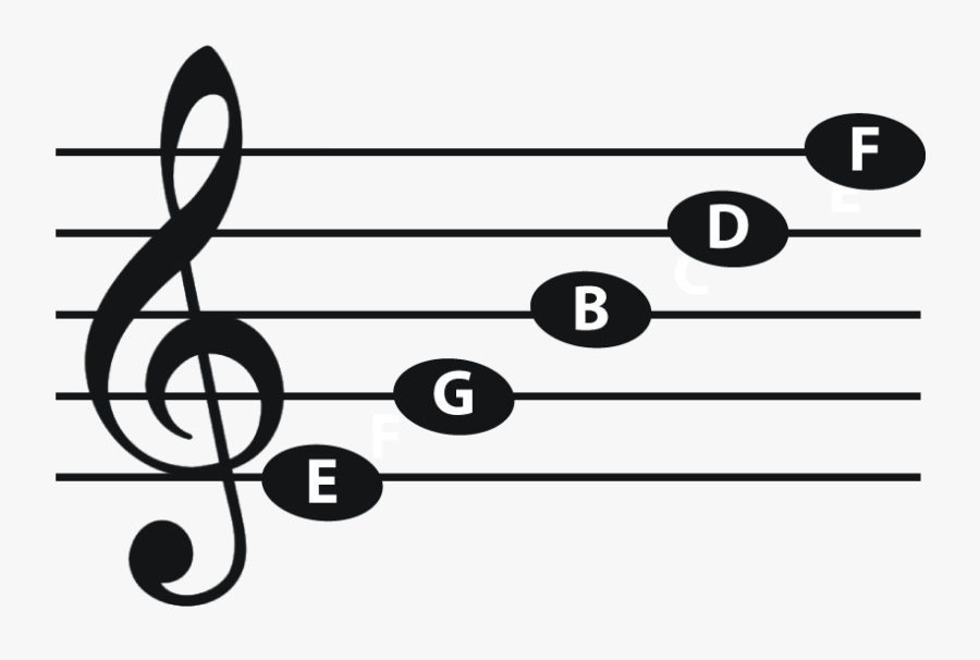 Treble Line Notes , Free Transparent Clipart - ClipartKey