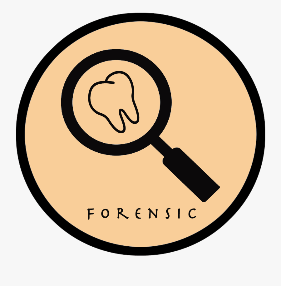 Forensic Dentistry Clipart , Png Download - Person Organisation Fit ...