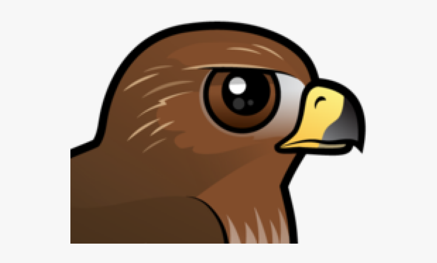 Red Tailed Hawk Clipart , Free Transparent Clipart - ClipartKey