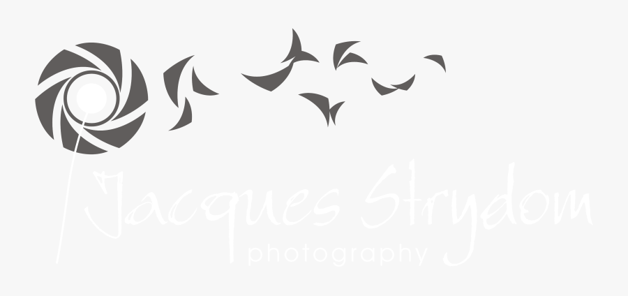 Photography Logo Png Hd Without Background , Free Transparent Clipart ...