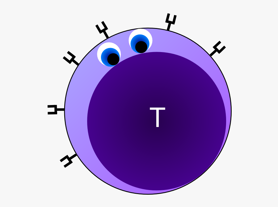 Helper T Cell Clipart , Free Transparent Clipart - ClipartKey Helper T Cell Clipart , Free Transparent Clipart - ClipartKey