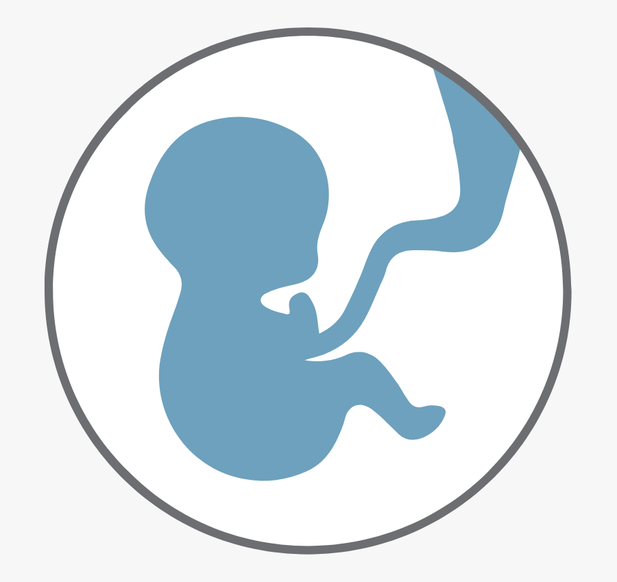 Umbilical Cord Stem Cells Png , Free Transparent Clipart - ClipartKey
