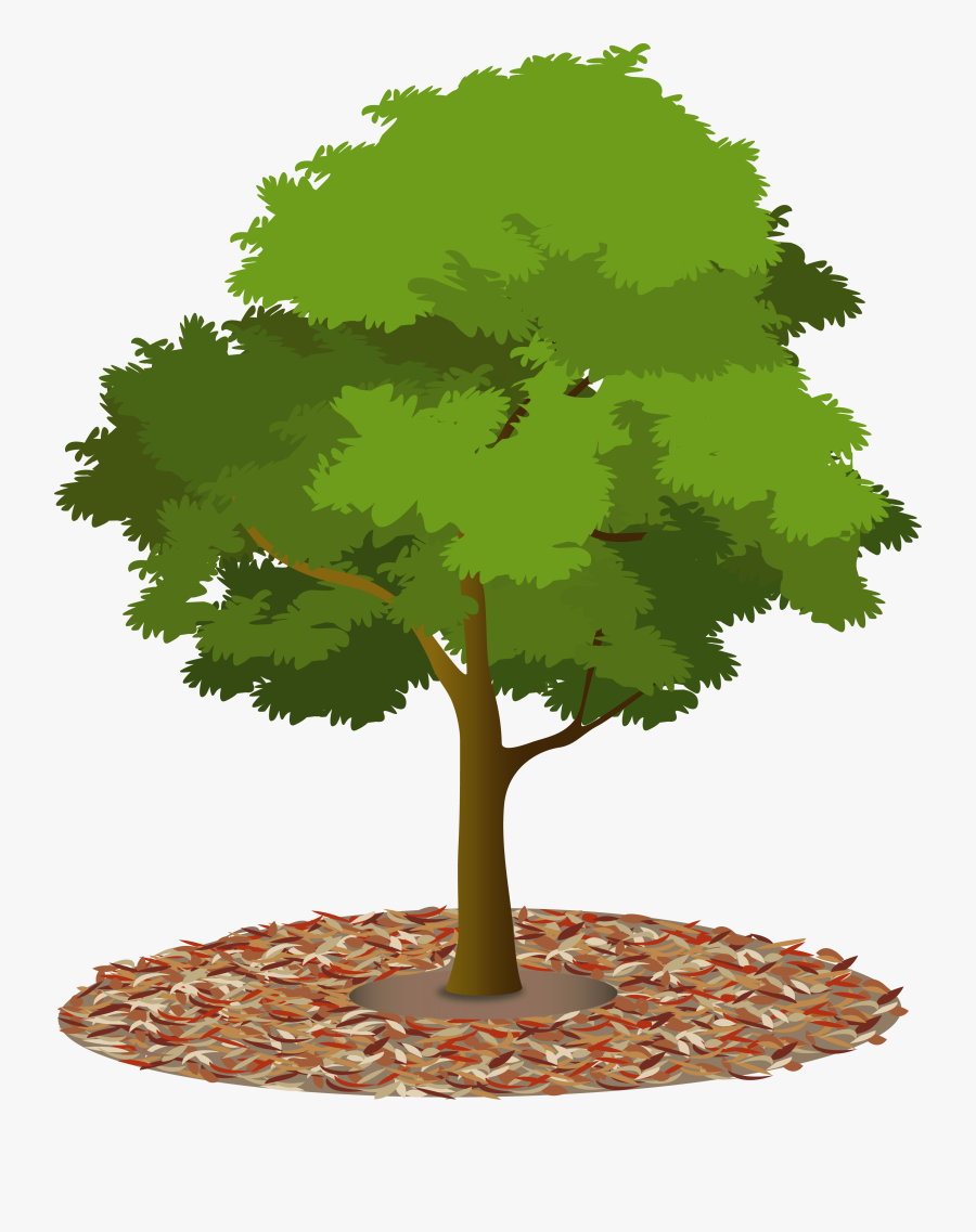 Mulch-tree - Tree Flat Illustration Png , Free Transparent Clipart ...