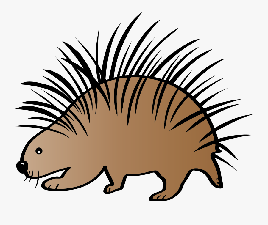 Hedgehog , Free Transparent Clipart - ClipartKey