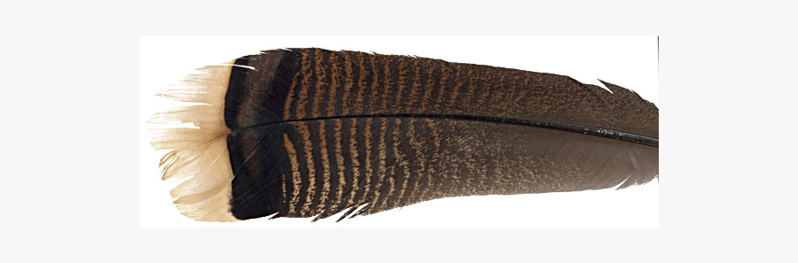 Feather Craft Feather Craft Large Wild Turkey Tail - Turkey Tail ...