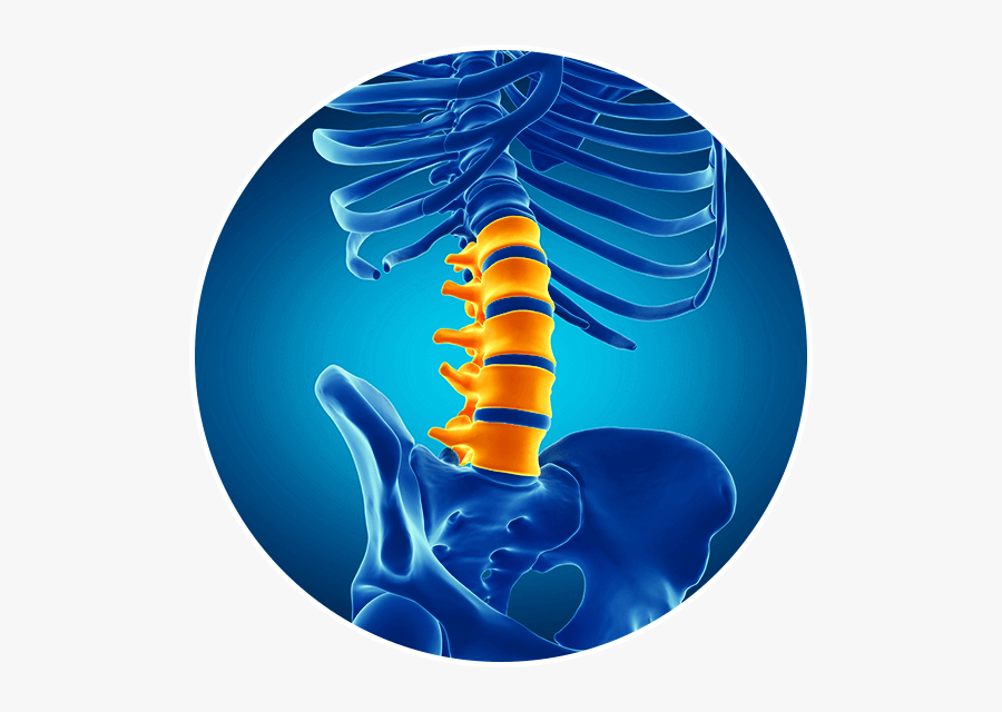 Lower Back Pain In Lumbar Spine - Circle , Free Transparent Clipart ...