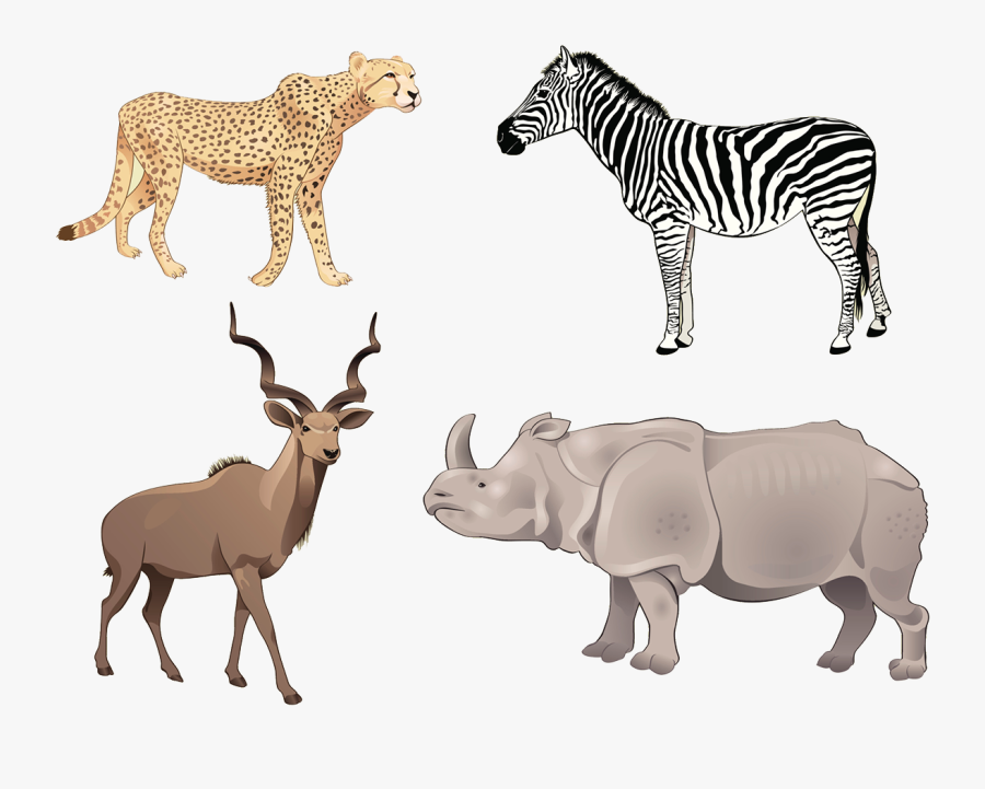 Grassland Habitat Clipart
