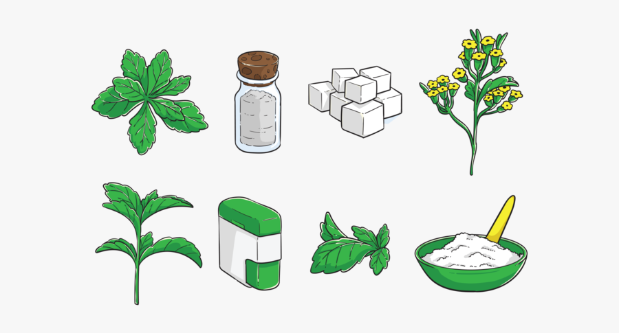 Free Hand Drawn Stevia Vector - Stevia Clipart , Free Transparent ...
